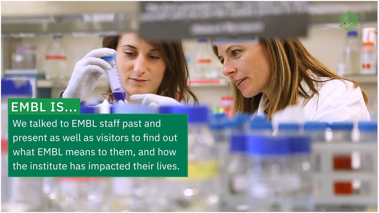 EMBL is... - YouTube