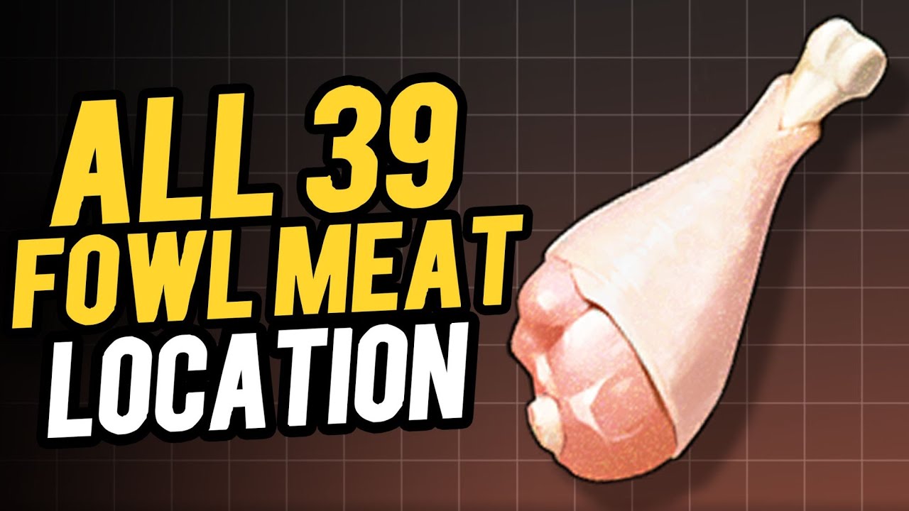 Fowl Meat Location - Fowl Meat Farming Route | Wuthering Waves - YouTube