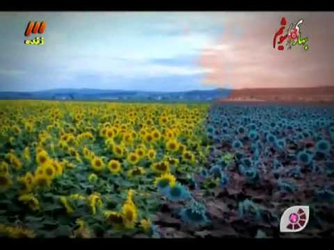 Əli pormehr  -  Bayram gəldi‬
