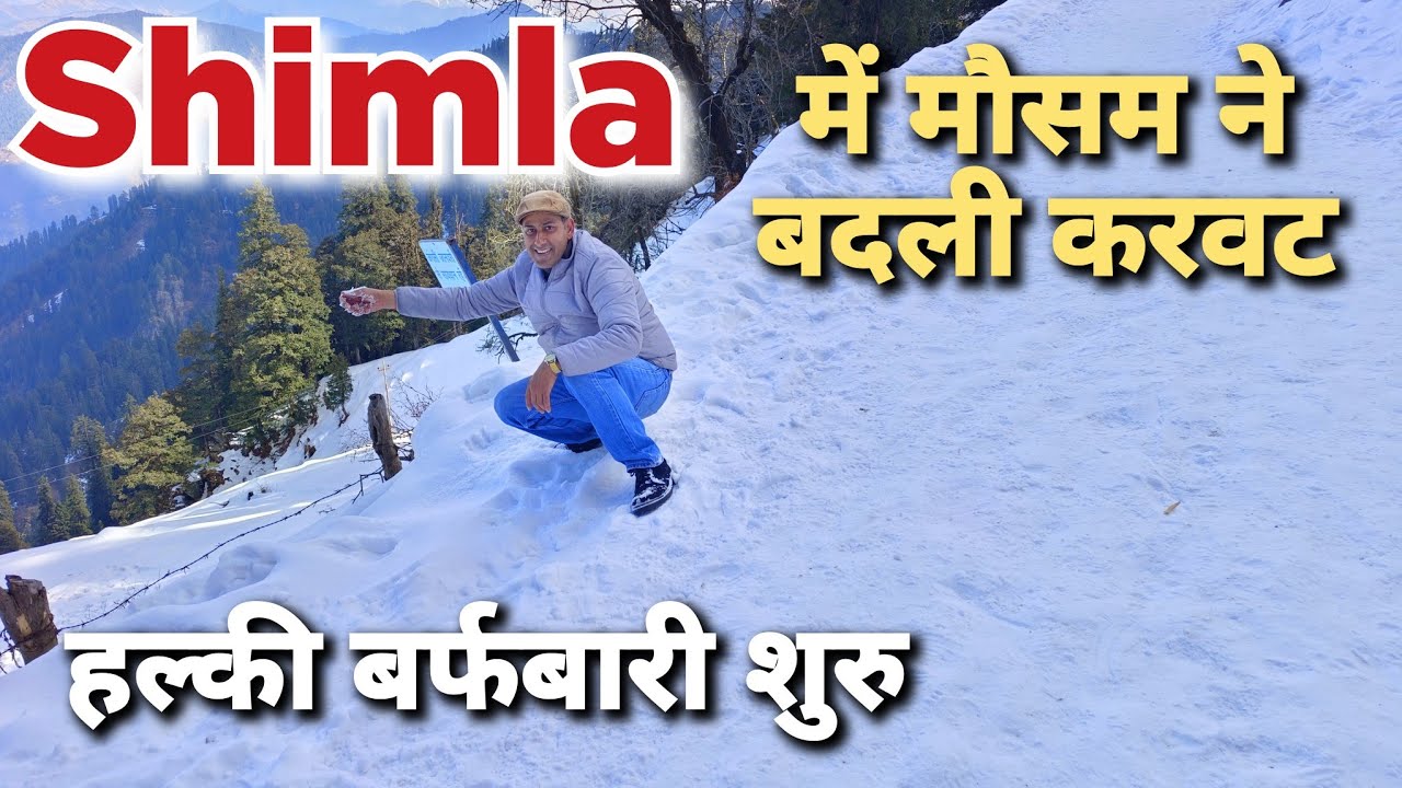 Live light Snowfall in Shimla | Shimla Weather Today | Shimla Current ...
