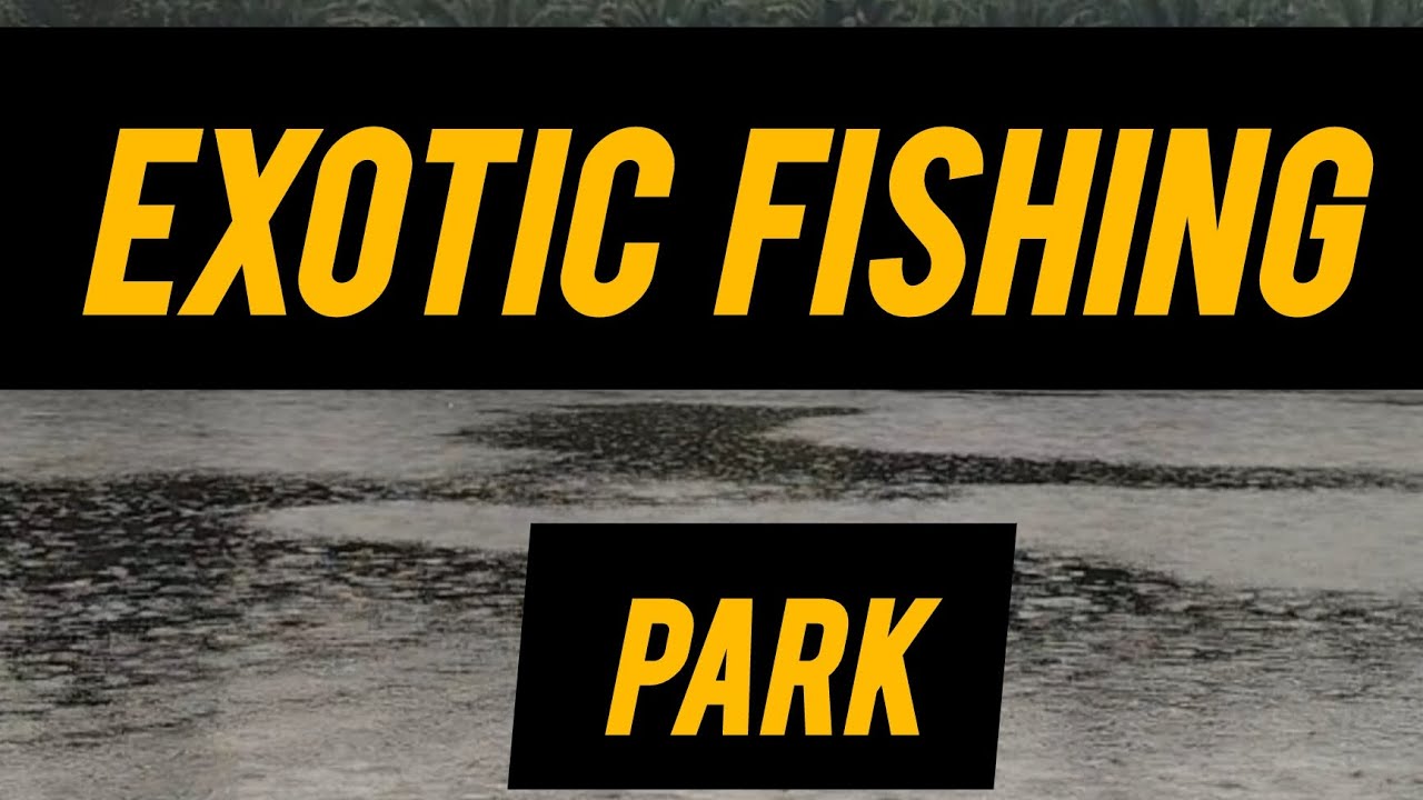 Batu Arang Exotic Fishing Park - YouTube