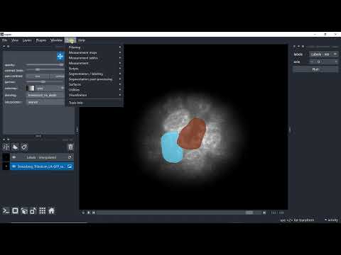 Napari - object measurements
