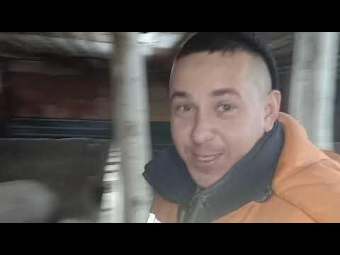 Не хуже чем премикс для свиней//бюджетный вариант - YouTube