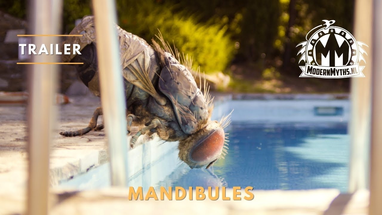 Mandibules trailer - Gusto Entertainment / Modern Myths - YouTube
