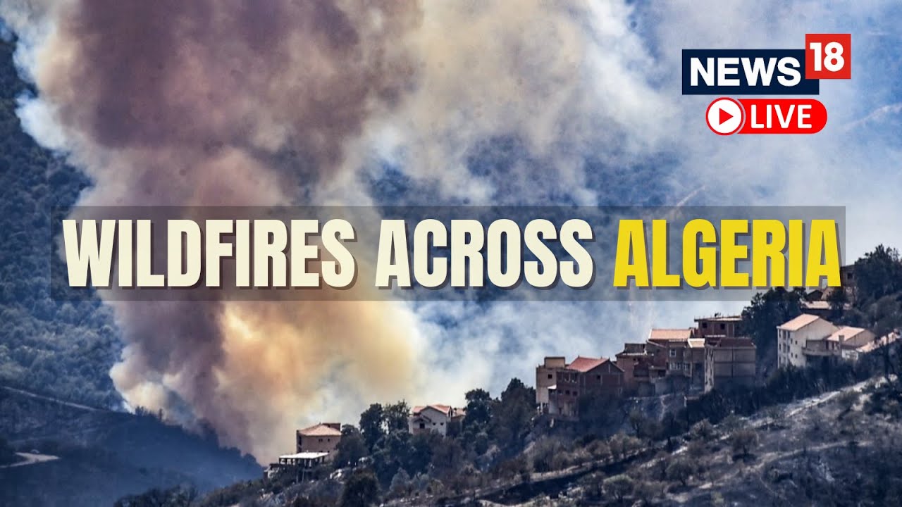 Algeria Forest Fires LIVE News | Wildfires Raging Through Eastern ...