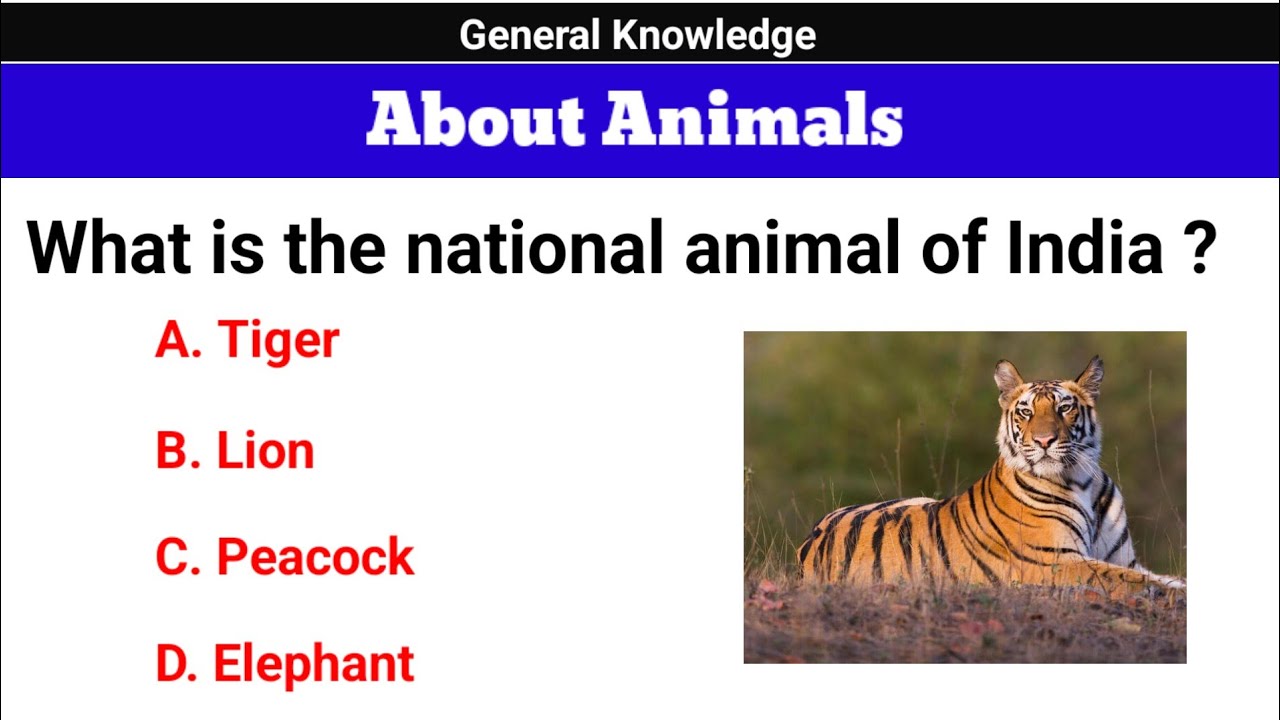 Gk related to animals and birds | GK questions | general knowledge in ...