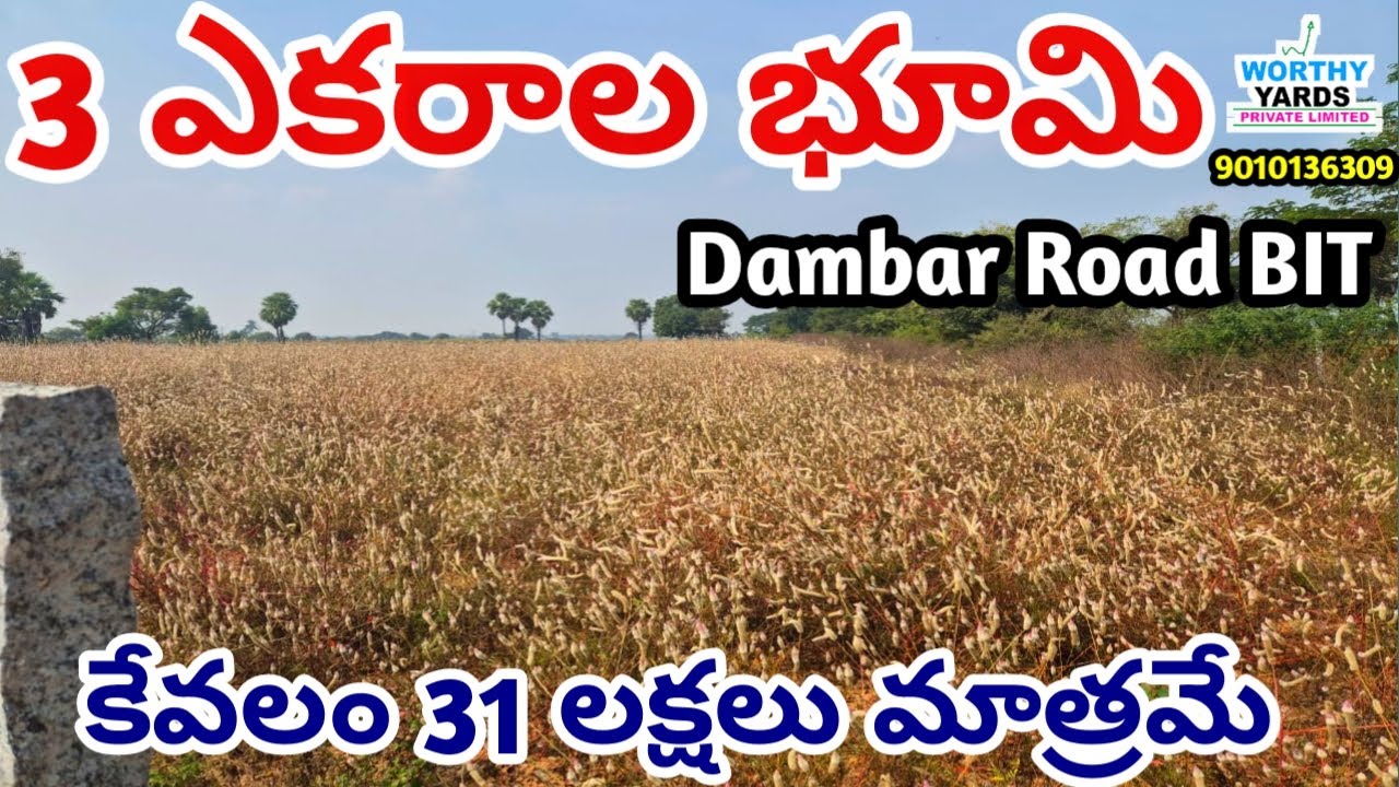 Agriculture Land For Sale | Dambar Road BIT |#agriculturelands # ...