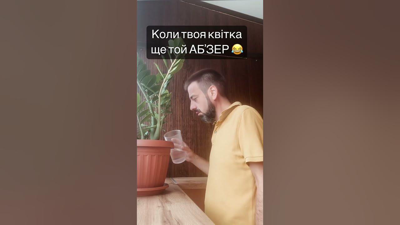 Квітка абюзер Ви таке бачили Знущається з мене Але ж люблю її
