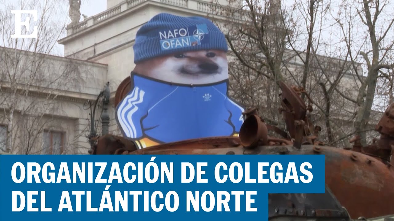 GUERRA UCRANIA | ¿Qué es la NAFO? Los perros 'shiba inu' que luchan ...