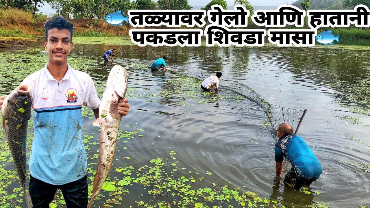 तळ्यावर गेलो आणि हातानी पकडला शिवडा मासा | tala fishing 🐟🐬 - YouTube