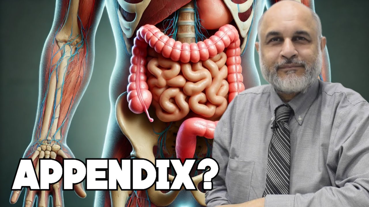 What is appendix? | Appendix kiya hai? urdu/hindi #appendicitis #surgeon - YouTube