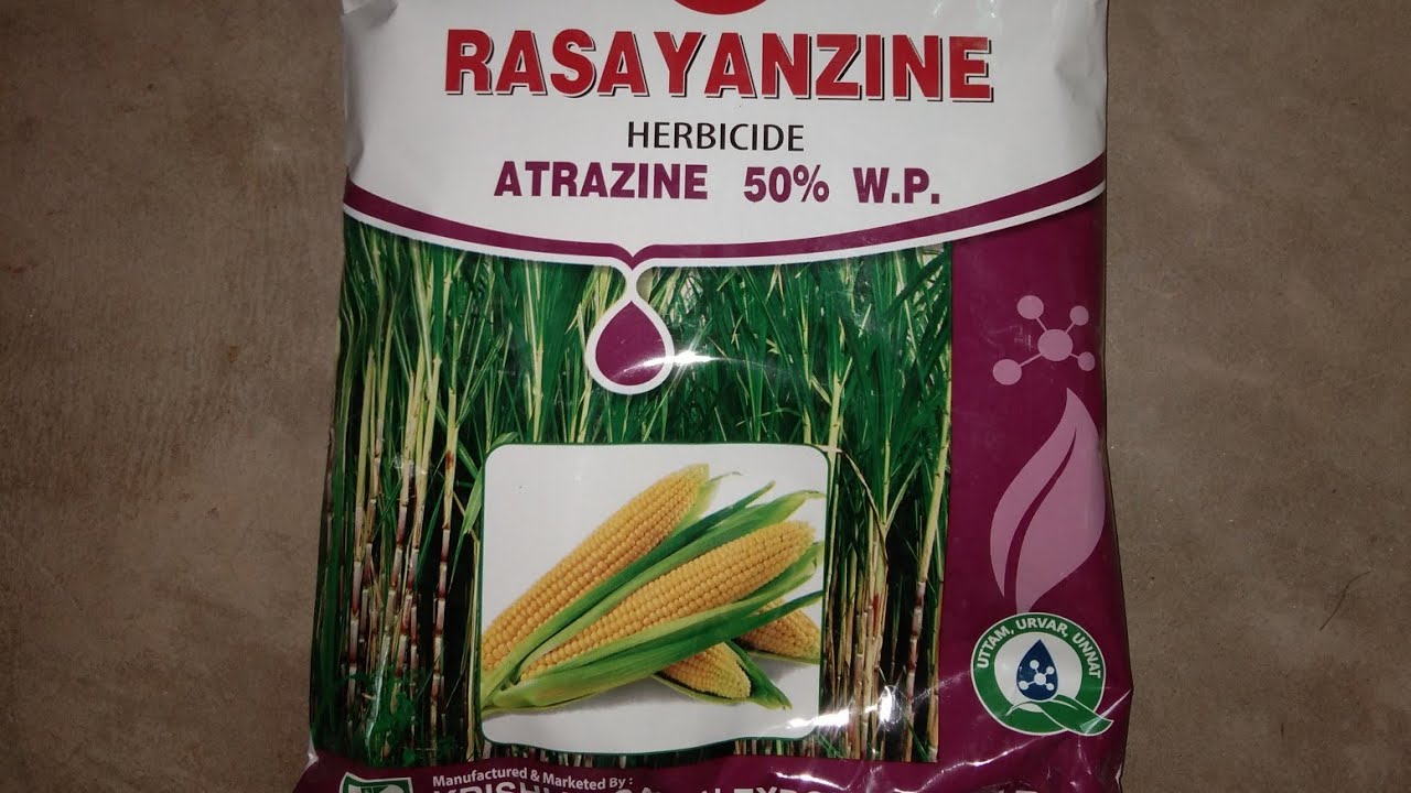 #Atrazine 50% W. P ,Herbicide For Bajra, Maze/corn - YouTube