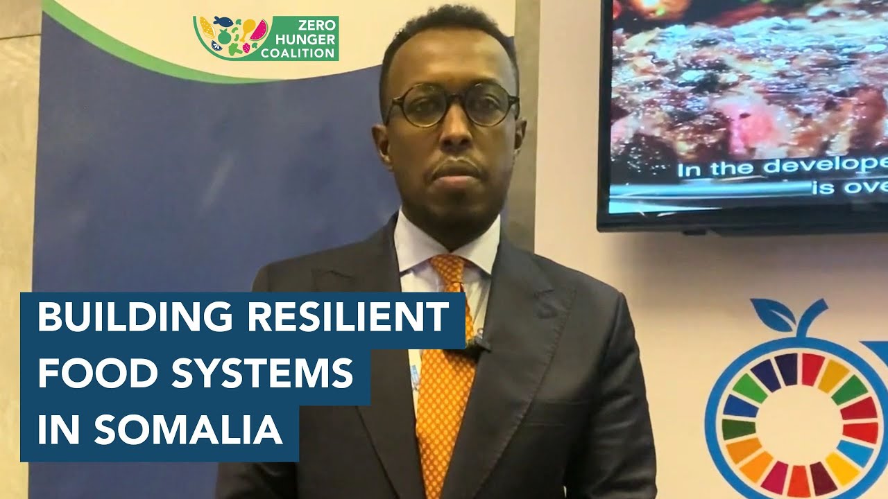 Building resilient food systems in Somalia: challenges & solutions ...