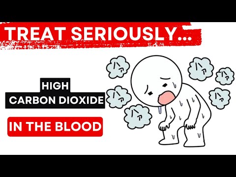 Why Is Carbon Dioxide Exchange Rate High At Nooon