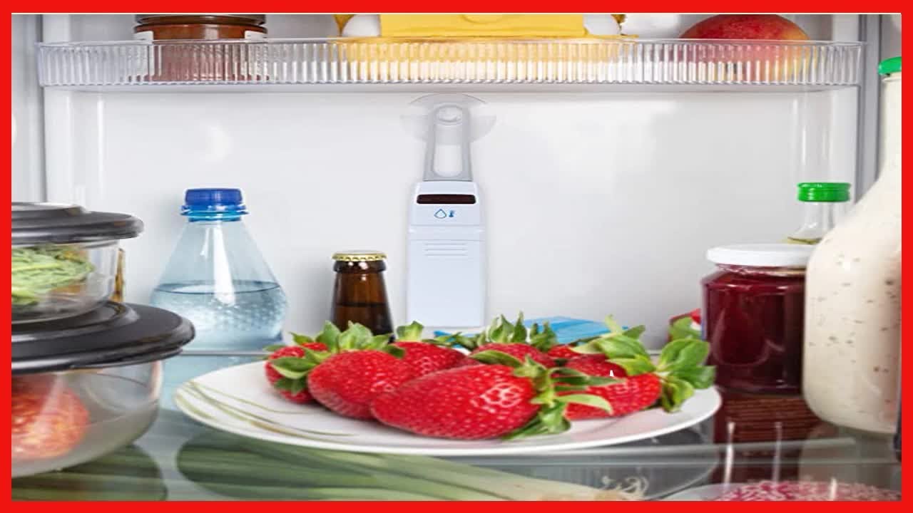 AcuRite Digital Wireless Fridge and Freezer Thermometer with Alarm and ...