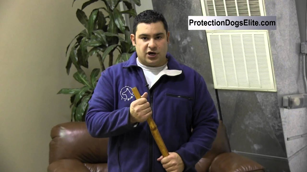 Protection Dog Glossary - Clatter Stick - YouTube