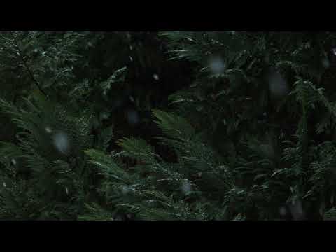 Hamseda Records - Bakh Golom- Jafar Ahmadi