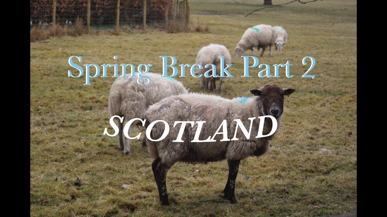 SPRING BREAK: Scotland (Part 2) - YouTube