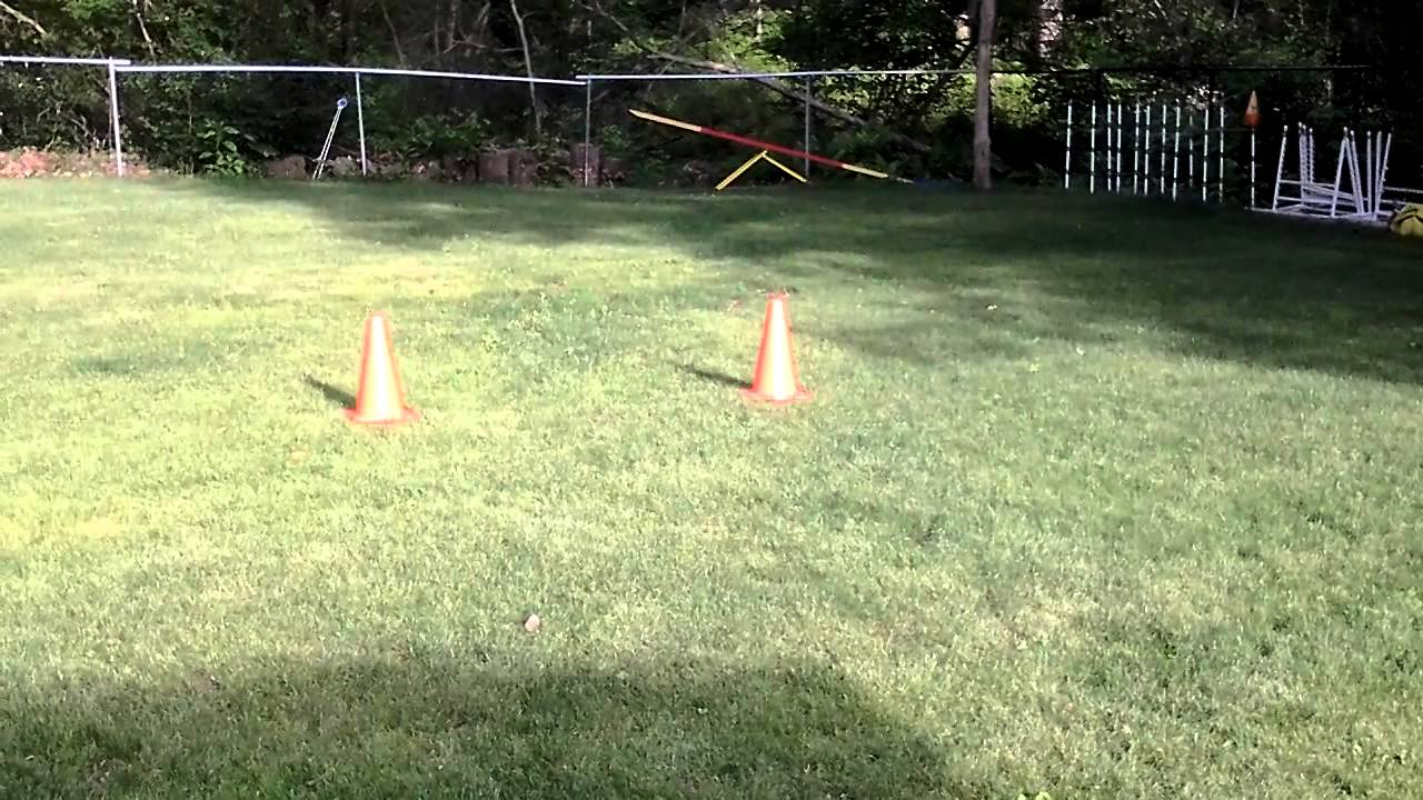 Novice course 6/18 - YouTube