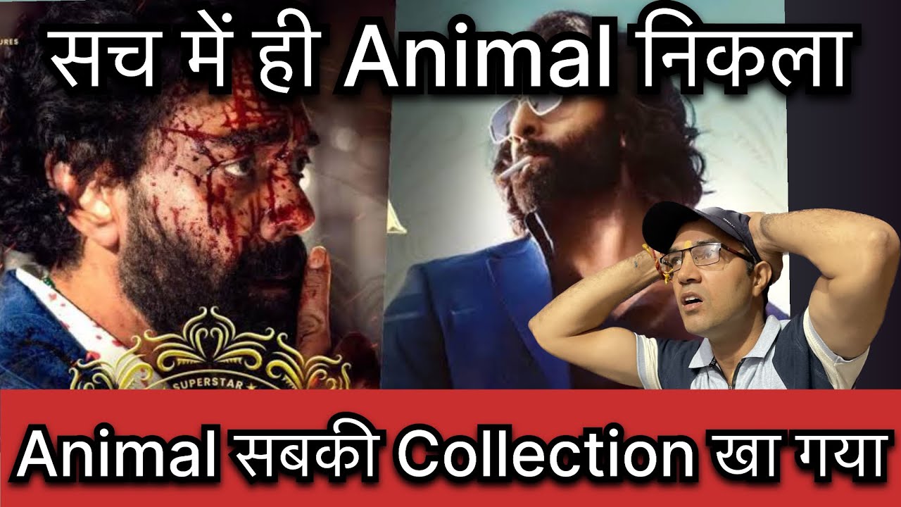 Animal Day 2 Collection Prediction | Animal History बना दी 😱| #animal # ...