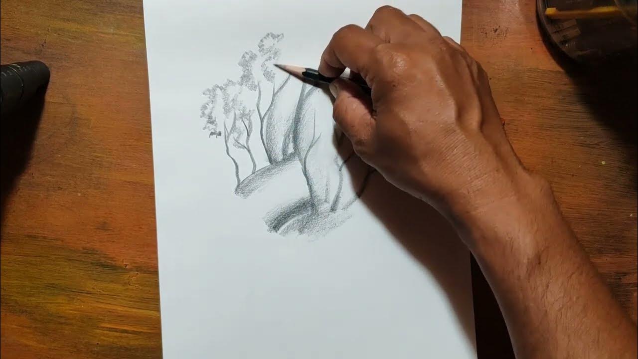 learn to draw trees - YouTube
