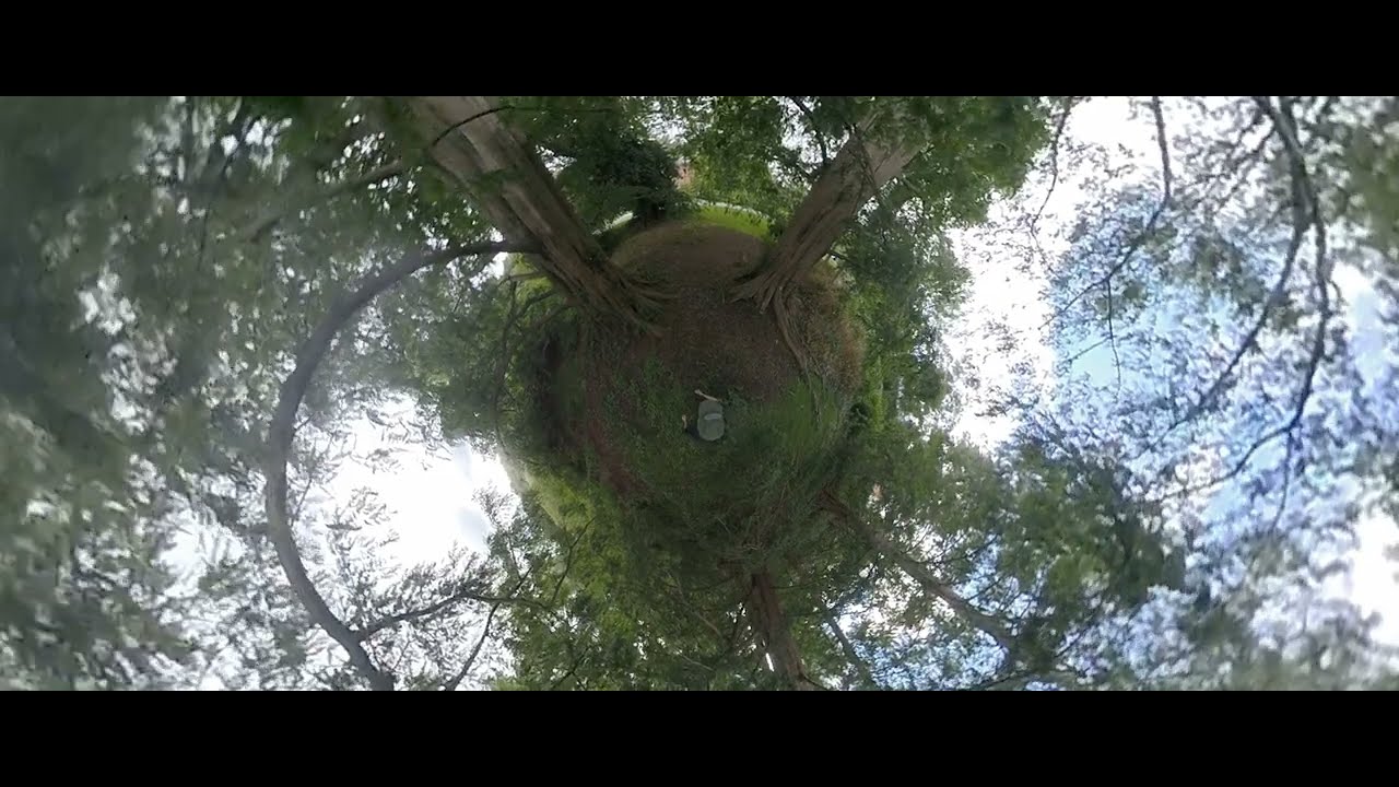 Arnold Arboretum, Willow Path #1 (360-degree Little Planet) 4K - YouTube