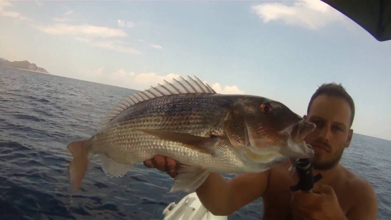 jigging Dentex snappers denton Greece! - YouTube