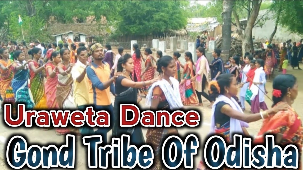 Uraweta Dance | Gond Tribe Of Odisha | Traditional Festival Video ...