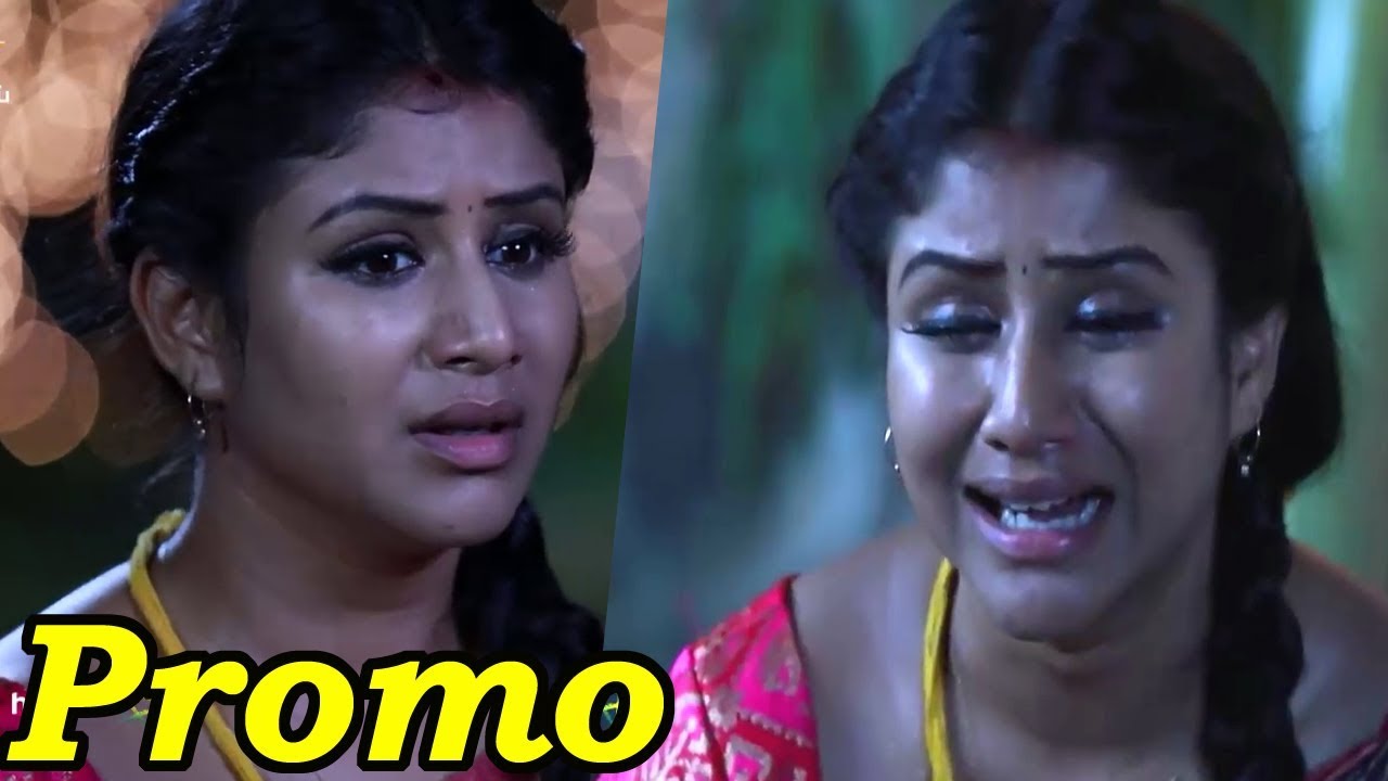 Raja Rani Serial promo latest | Vijay Tv Raja Rani latest promo 18/10 ...