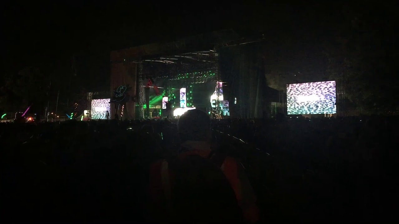 Bassnectar @ bonnaroo 2018 - YouTube