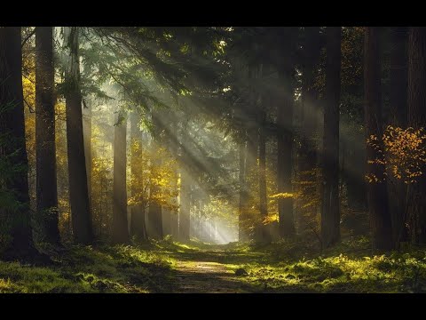Sakitləşdirici musiqi