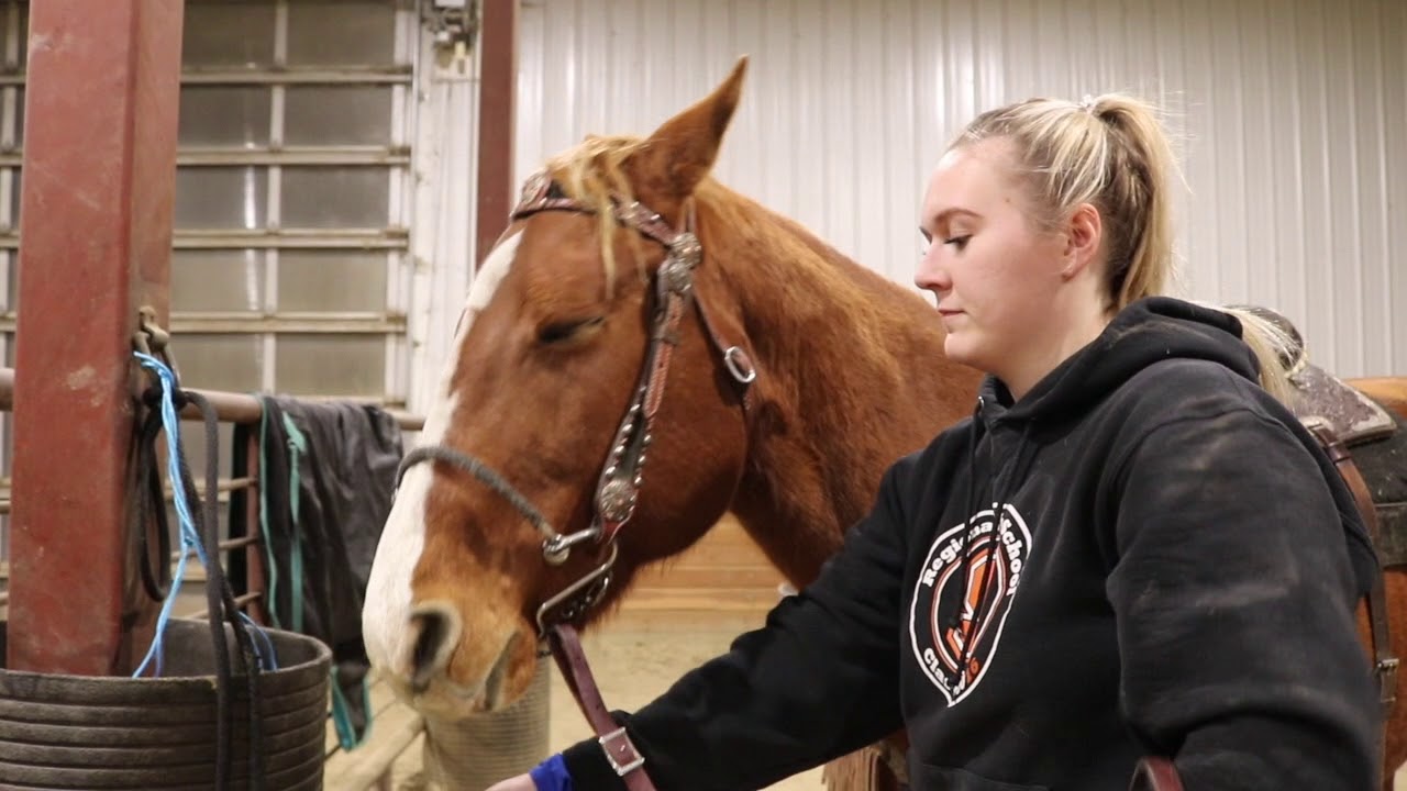 HR Training Video - Goat Tying - YouTube