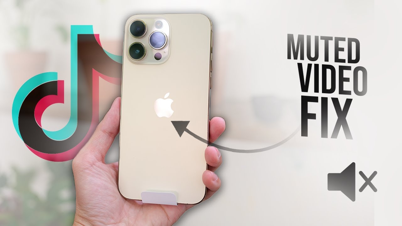 How to Fix Muted Video on TikTok (tutorial) - YouTube