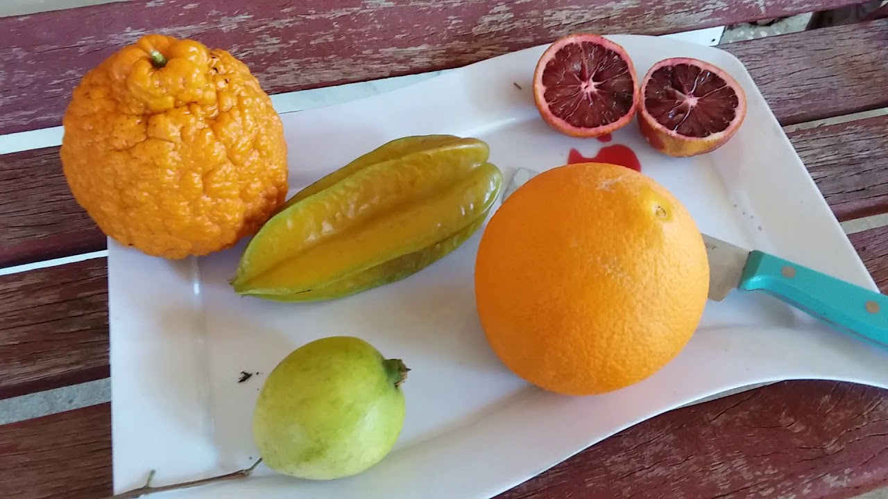 First fruits in January! Starfruit, Guava, Blood orange, gold nugget ...