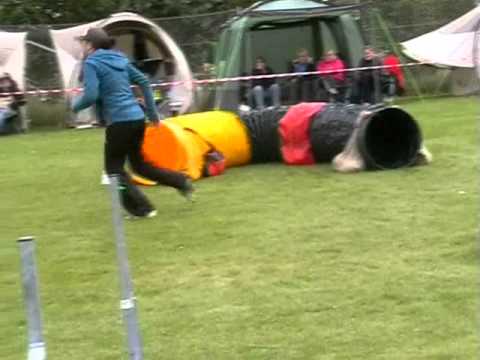 Turbo-Beagle.wmv - YouTube