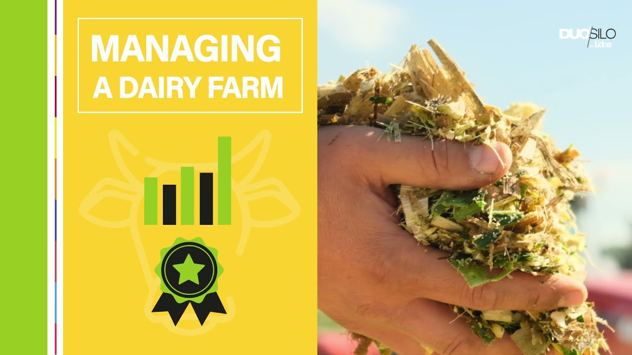 Duo Silo, improve the digestion of corn silage - YouTube