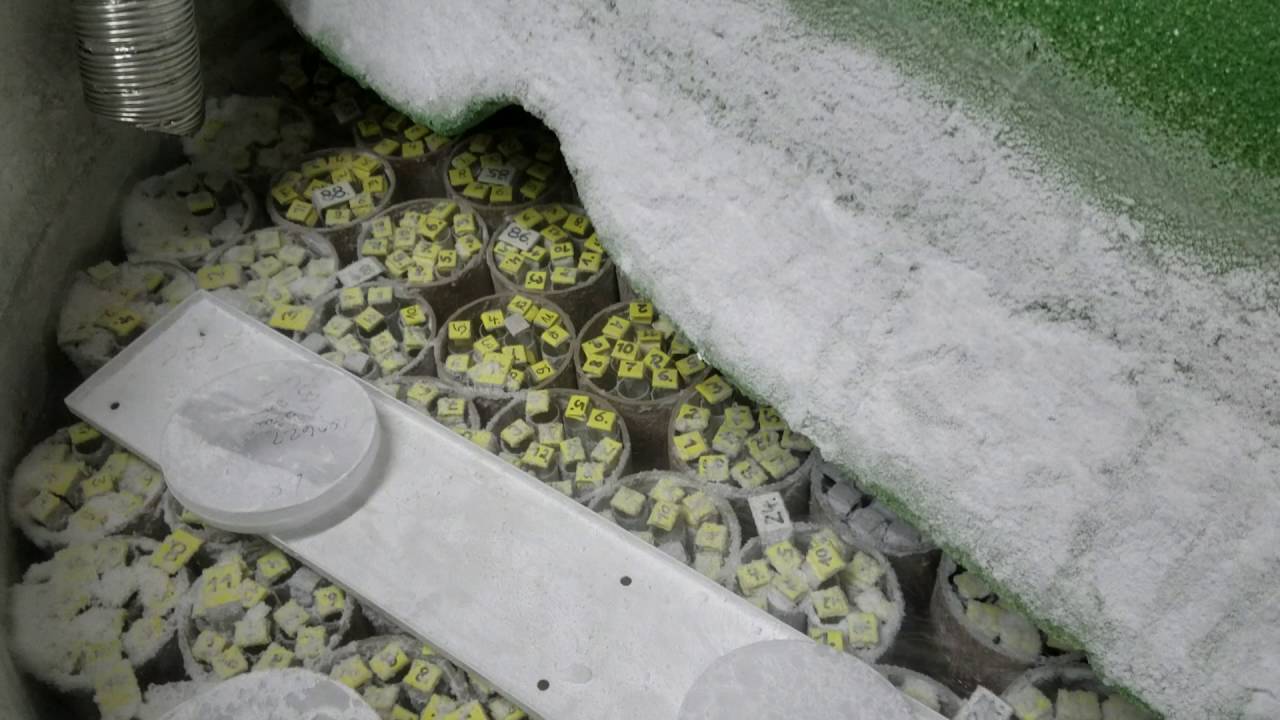 #ScienceTheEarth Microbial Depository Deep Freeze at DSMZ Braunschweig ...