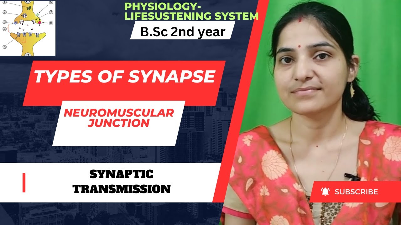 Inhibitorische Synapse