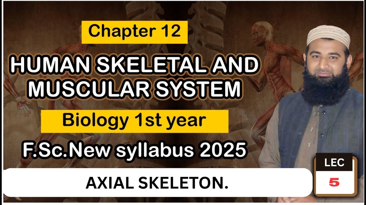 Axial skeleton | Human Skeletal and muscular system | Chapter 12| F.Sc ...