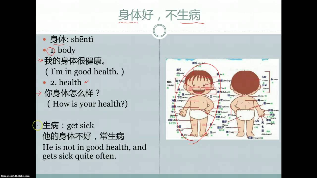 Integrated Chinese Level 1 Part 2 Lesson 15 DII New Words - YouTube