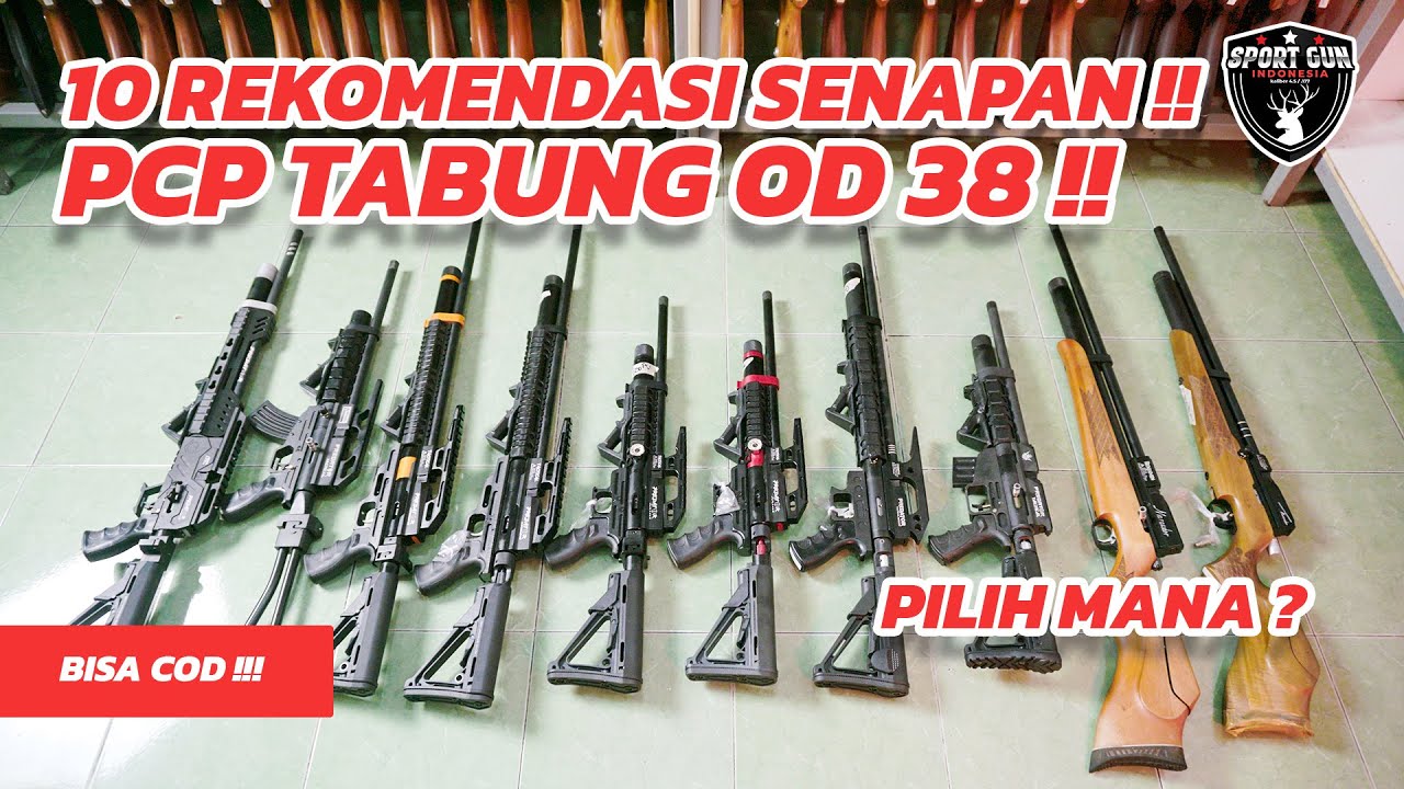 REKOMENDASI SENAPAN ANGIN PCP TABUNG DURAL OD 38MM PCP MINI, PREDATOR ...