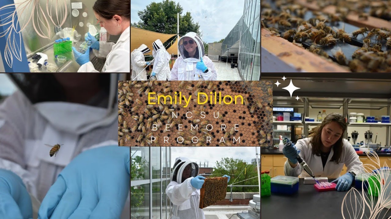 Emily Dillon | Bee Research | Opportunistic Bacteria - YouTube