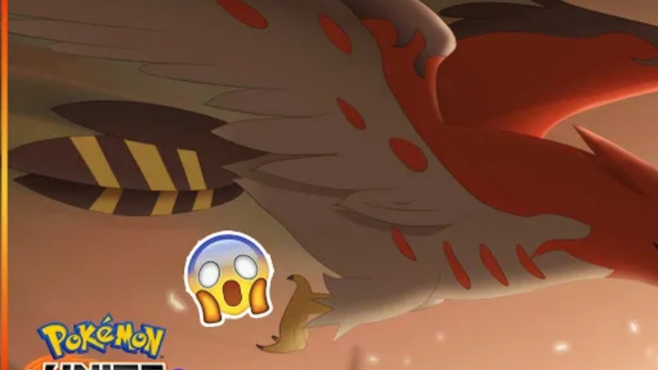 Talonflame 1V3 build Fly and aerial Ace build in the game || Pokemon ...