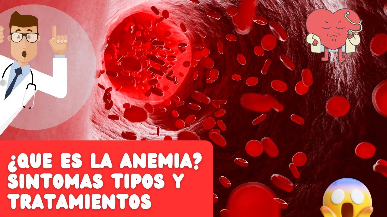 ¿Qué es la anemia? síntomas tipos y tratamiento #anemia - YouTube