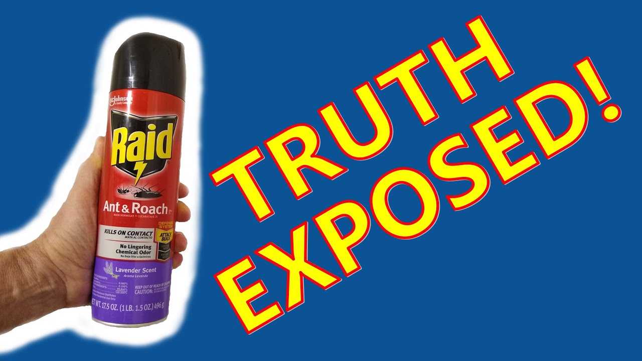 NEVER do THIS with Raid Ant and Roach Killer You MUST WATCH if you use this product