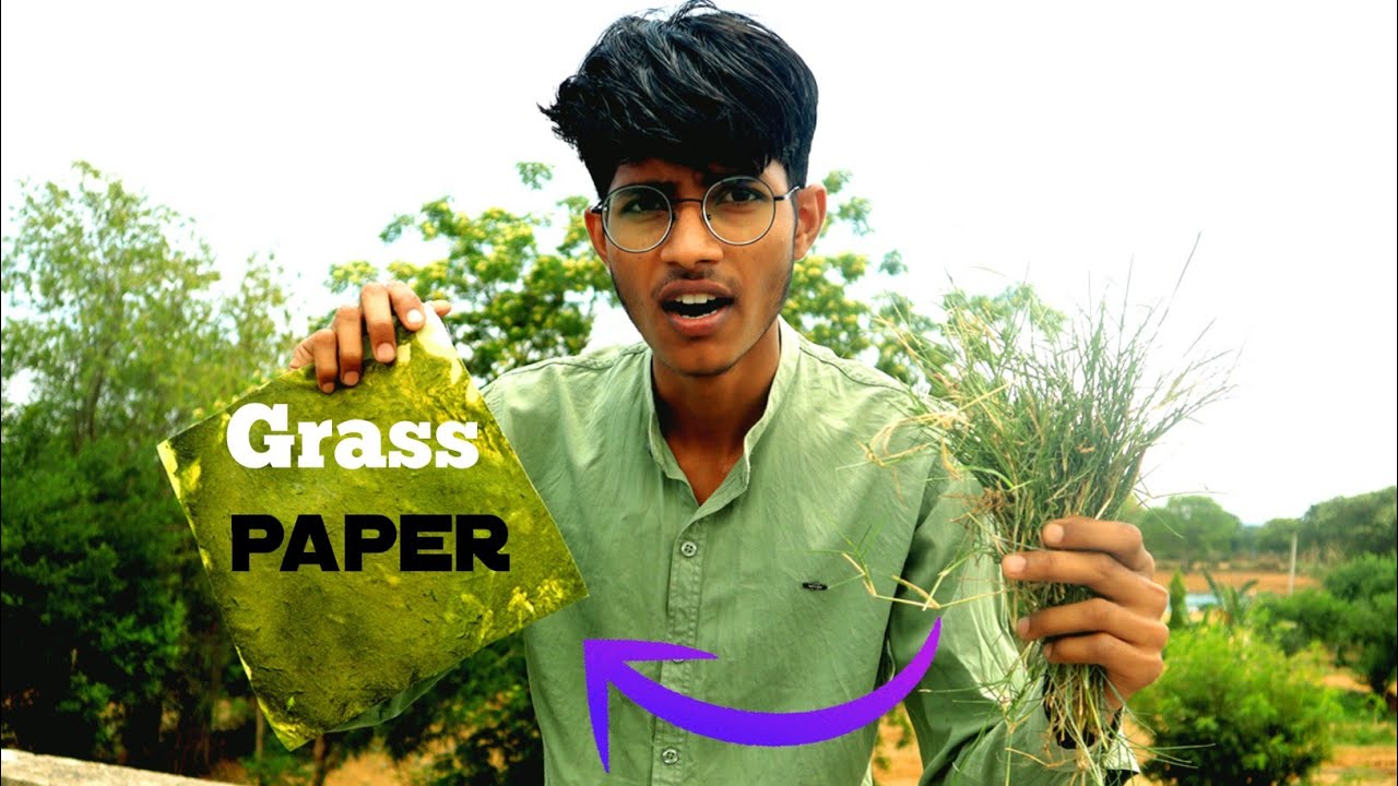 Eco-Friendly Paper Alternatives: Making Grass and Algae Paper | Stupid ...