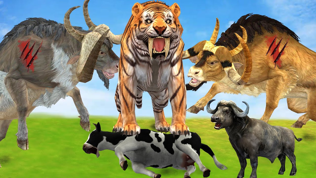 2 Zombie Bulls Versus Tiger Chasing Cow Cartoon and Buffalos Animal ...