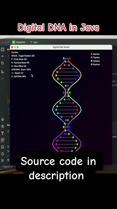 🧬 When Biology Meets Coding: Interactive DNA in Java 🧬 https://github.com/badrmellal/DigitalDNA ...