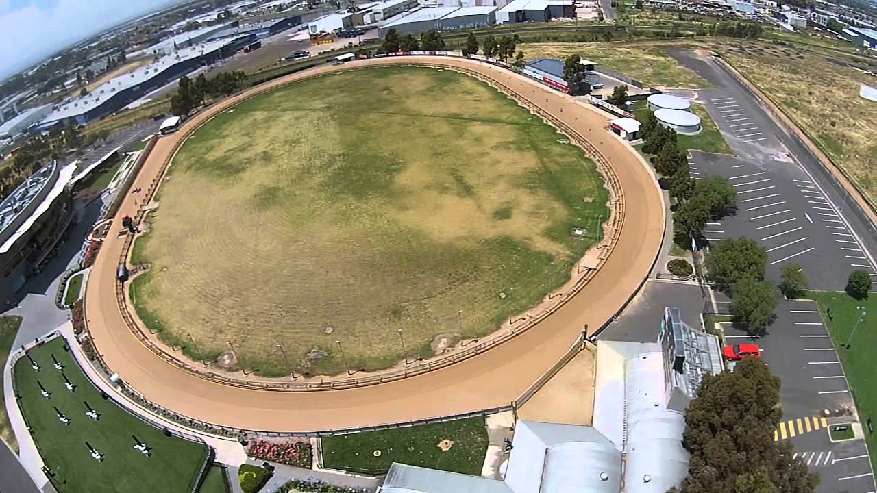 Greyhound Racing Track The Meadows - YouTube