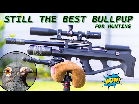 Still the Best Bullpup | FX Wildcat MK3 BT Compact | JSB 18.13gr Pellets | Farmyard Pest Control